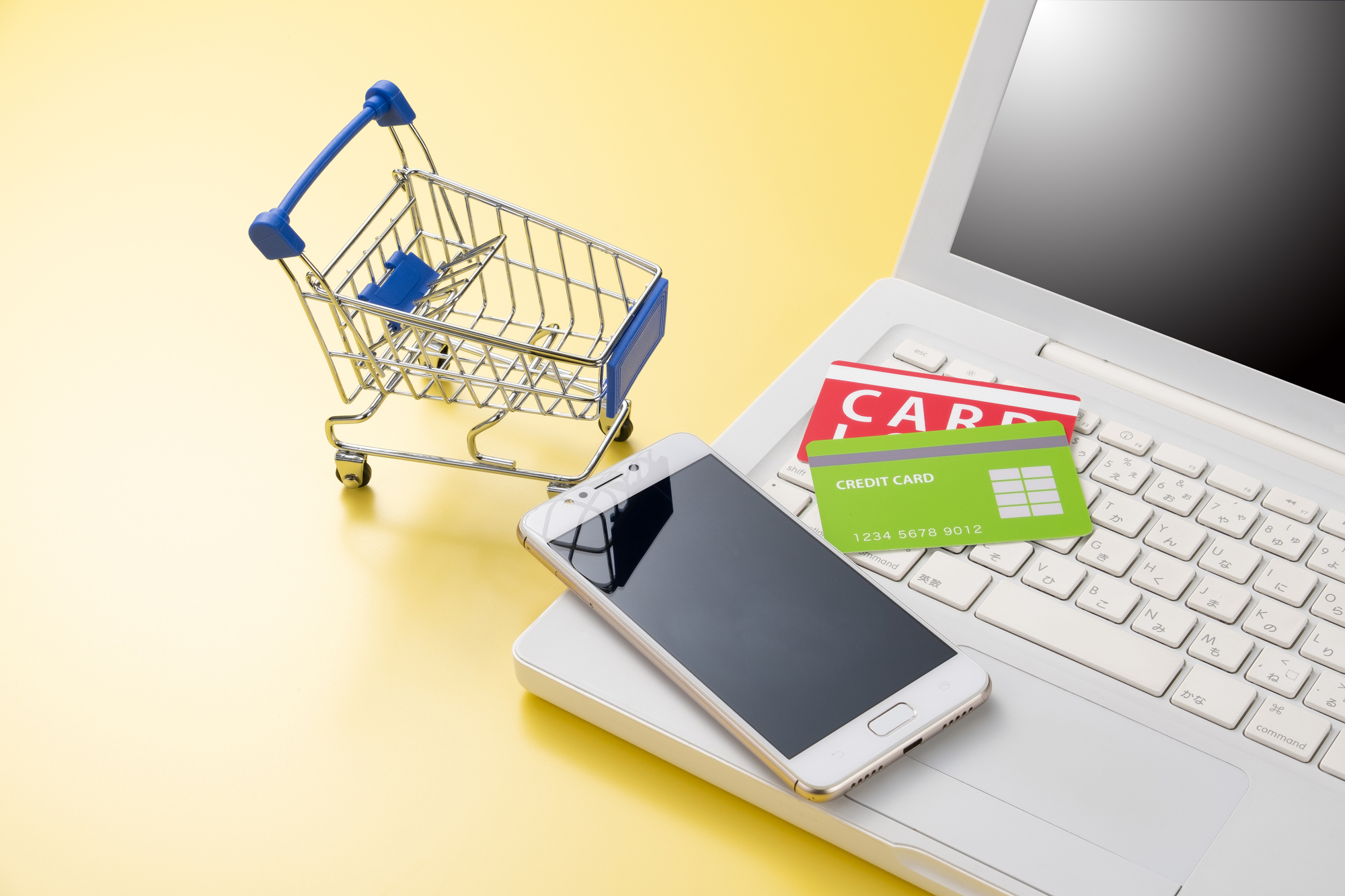 ECショッピングカートに不可欠な「決済システム」の導入方法をわかりやすく解説 | LISKUL